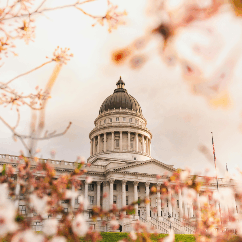 Dems Gain Seat in Utah Redistricting - AGC Advocacy